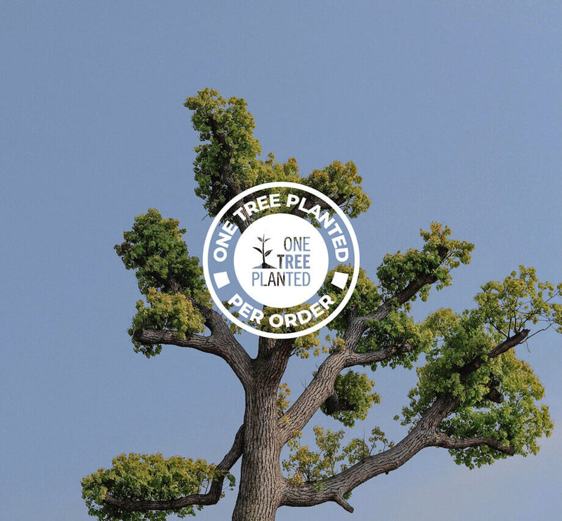 Midnight Honey: Sensual & Sophisticated Fragrance